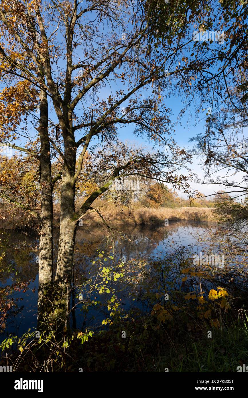 Grafenrheinfeld altmain nature reserve hi-res stock photography and ...