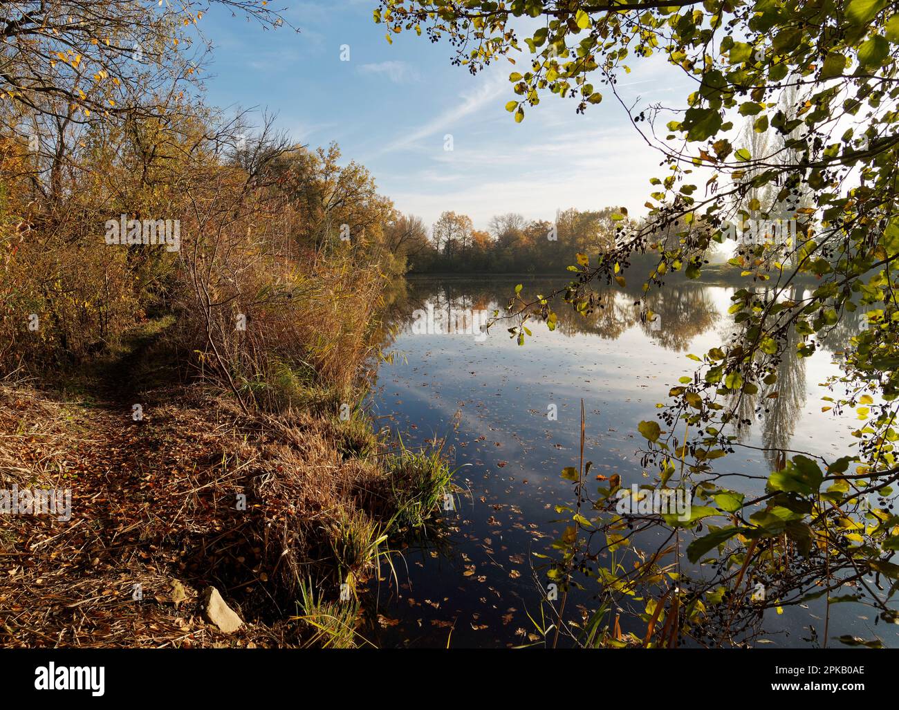 Former quarry ponds on the Main River near Grafenrheinfeld, Schweinfurt ...