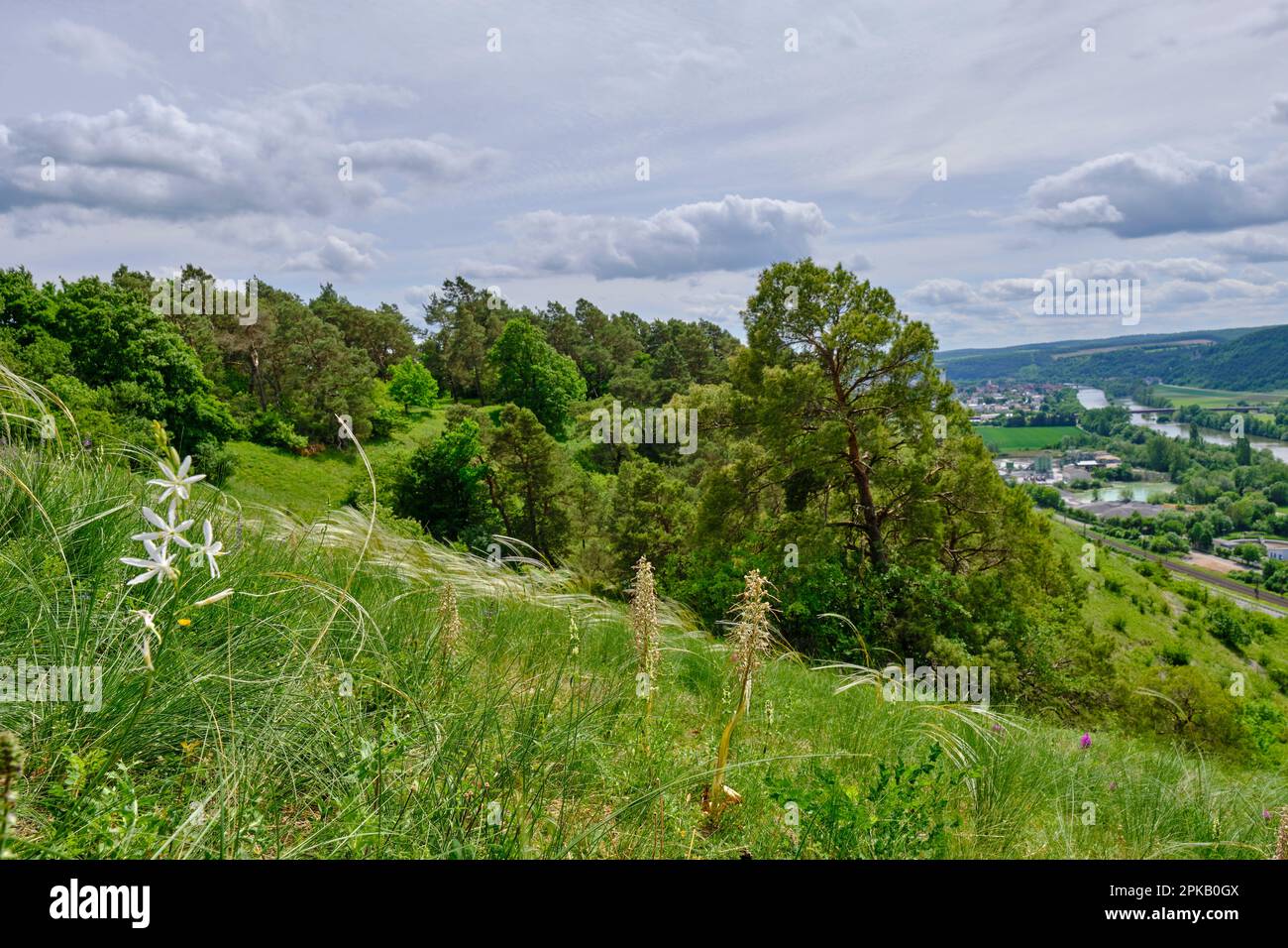 Grainberg-Kalbenstein Nature Reserve on the Main River near Karlstadt ...