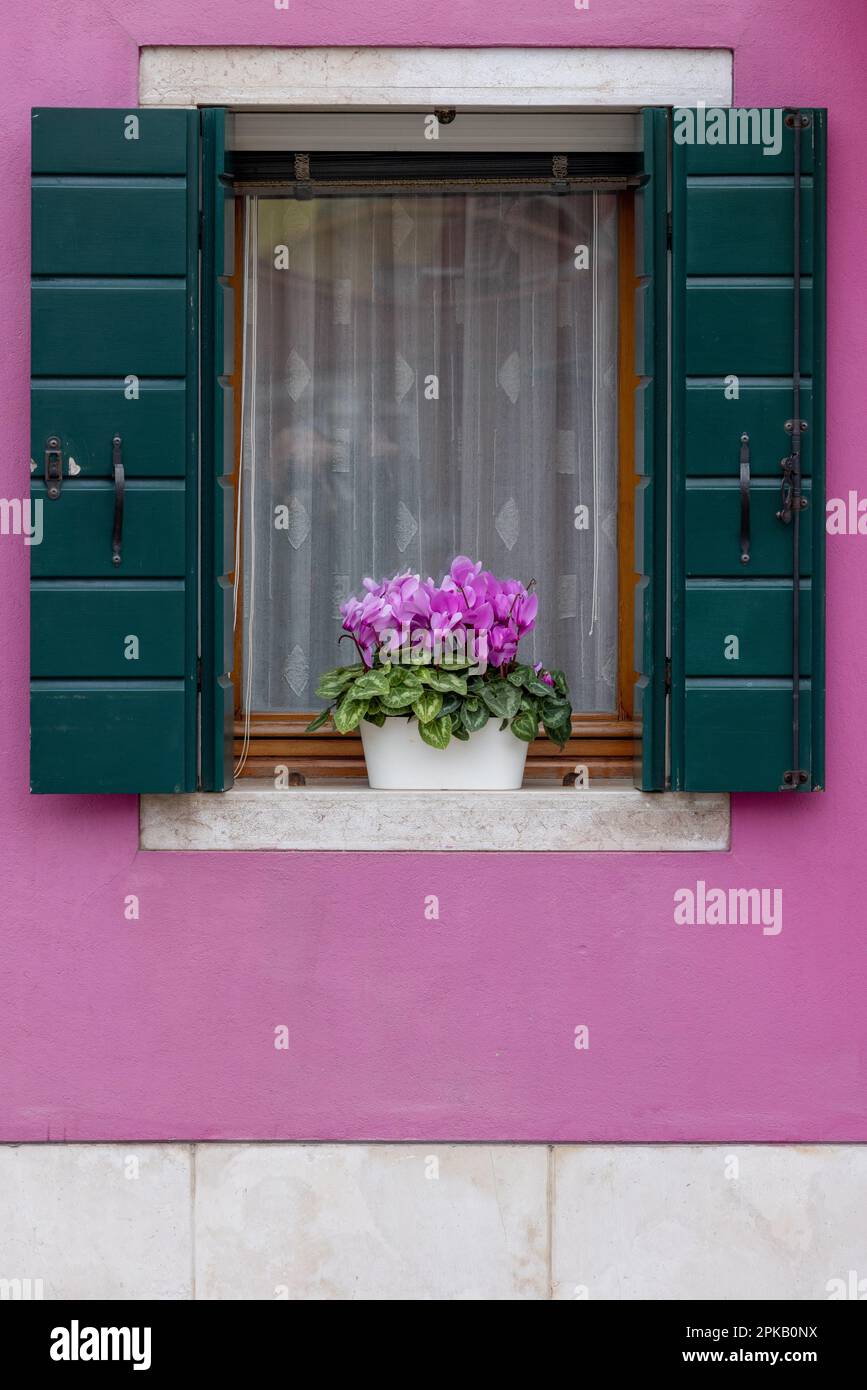Burano island shutters. Colourful shutters on the island of Murano near ...