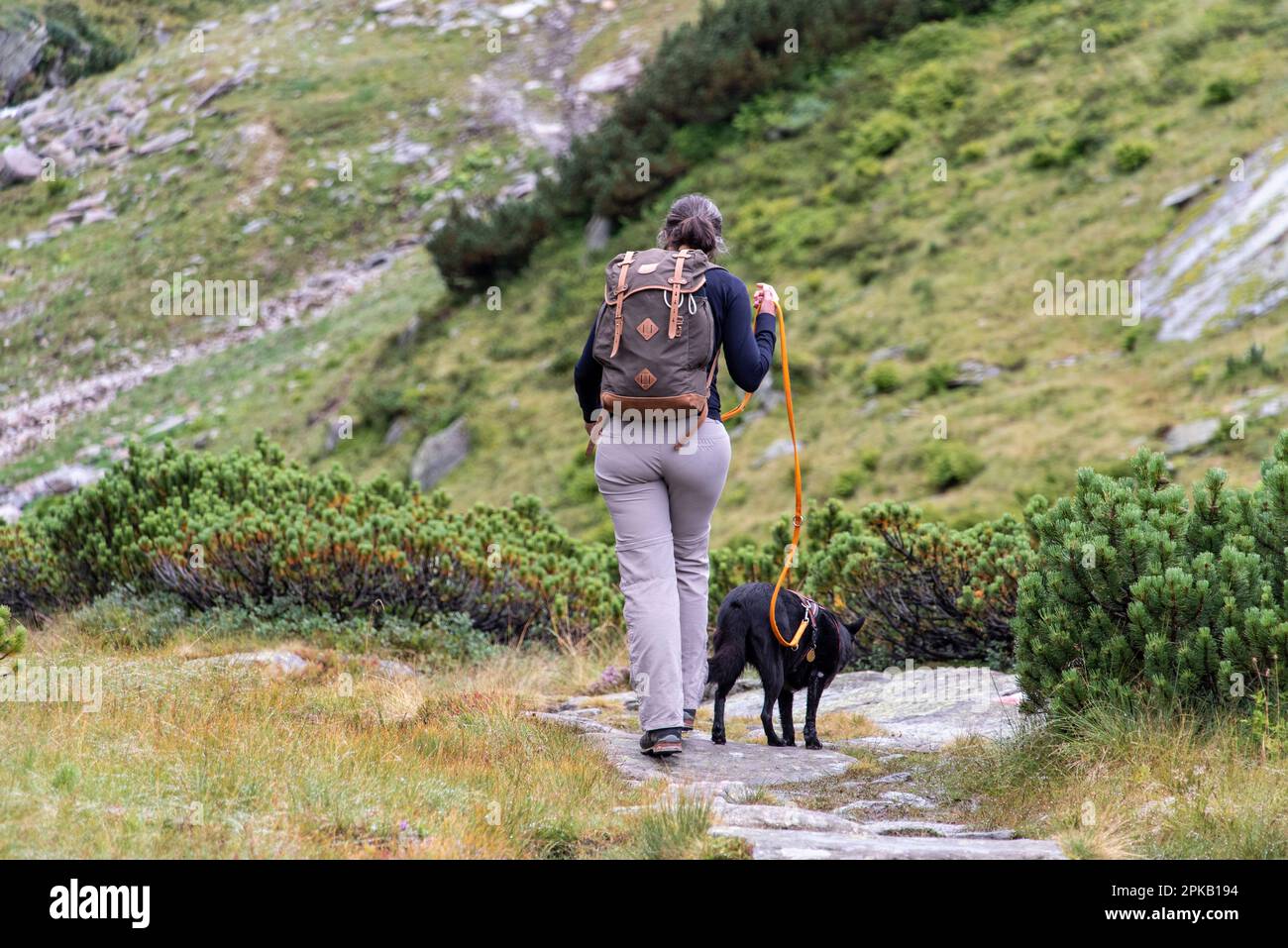 Woman hiking with her dog in the High Tauern National Park, the ...