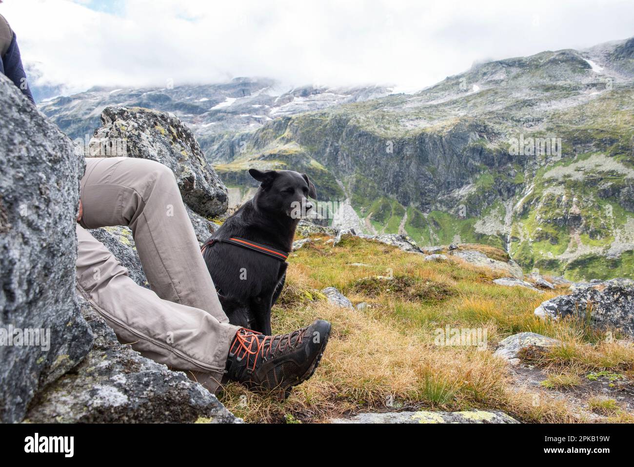 Woman hiking with her dog in the High Tauern National Park, the ...