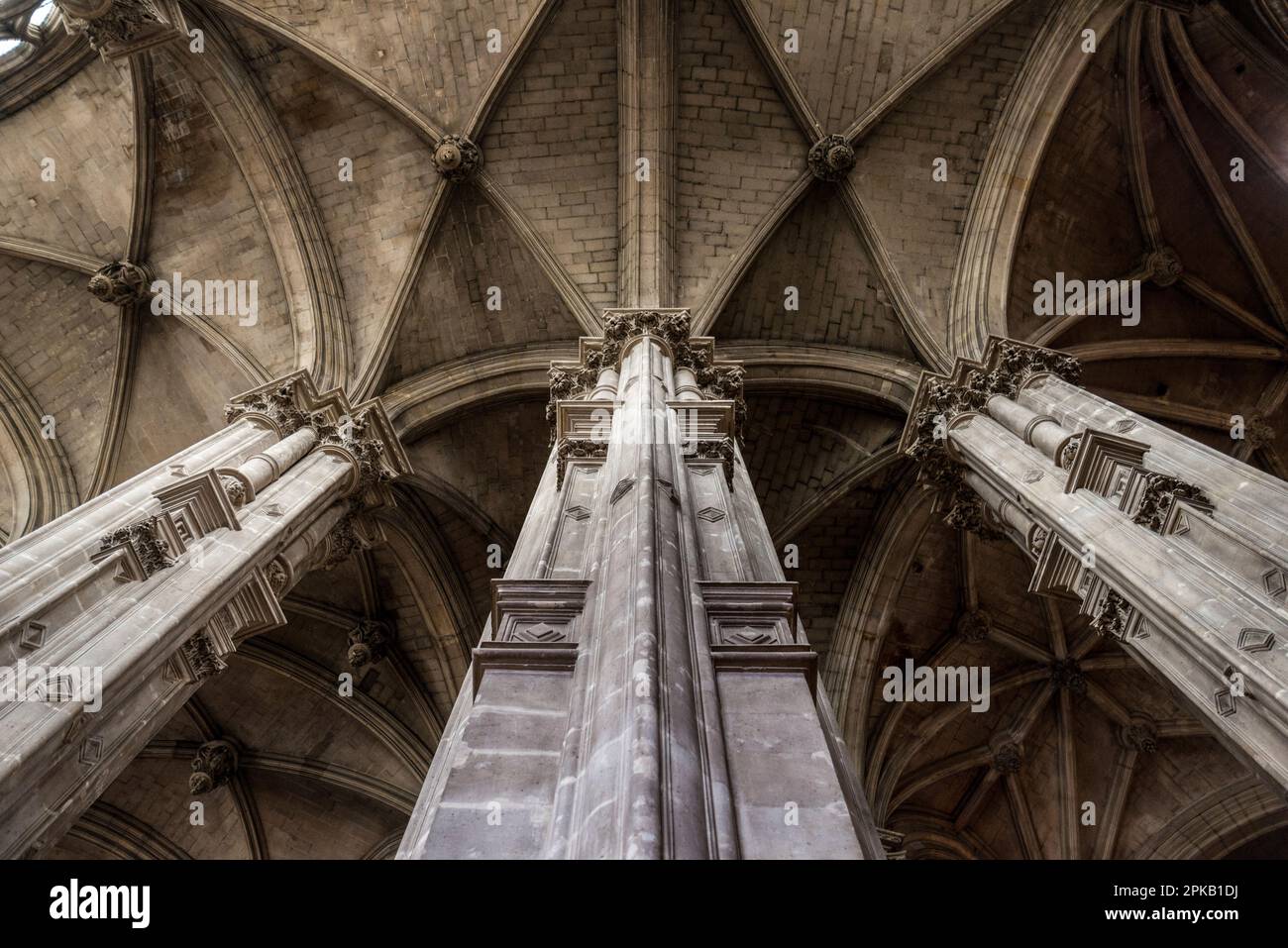 Tall columns and beautifully ornate ceiling in the gothic church Saint ...