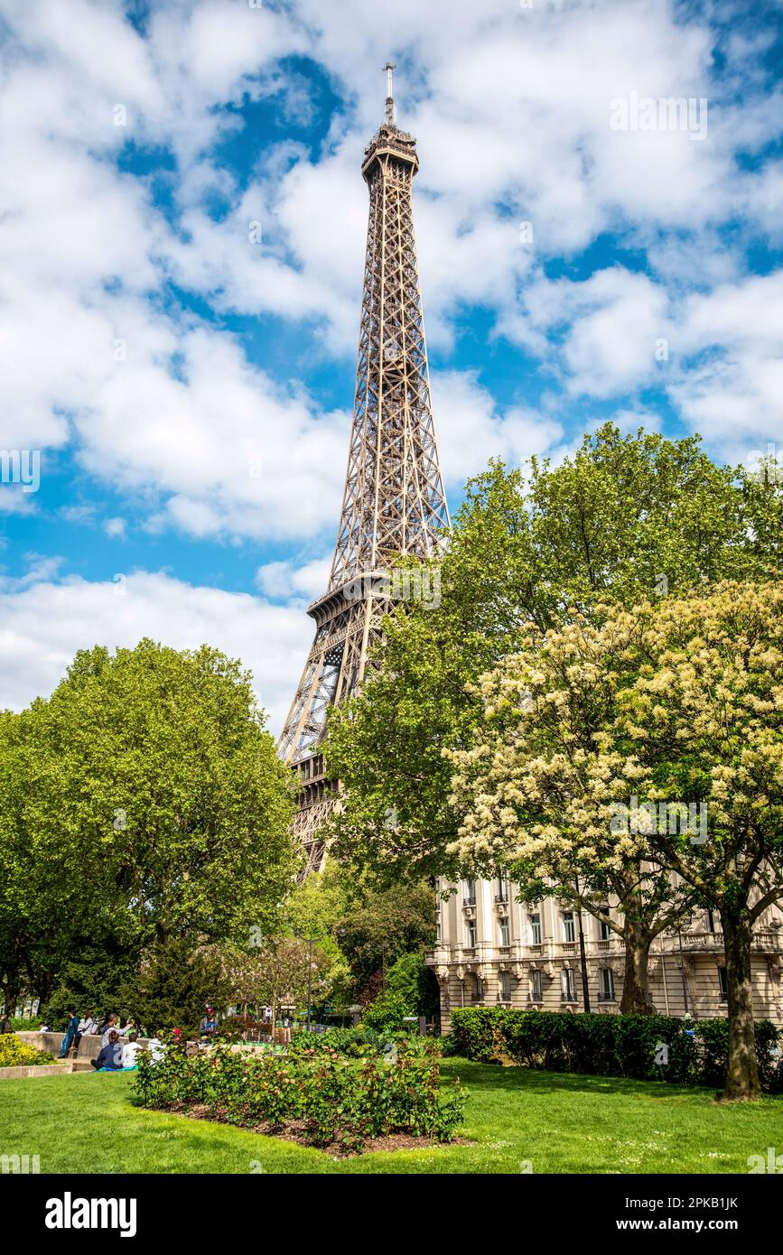 View of the Eiffel Tower in Summer, Paris, France Stock Photo - Alamy