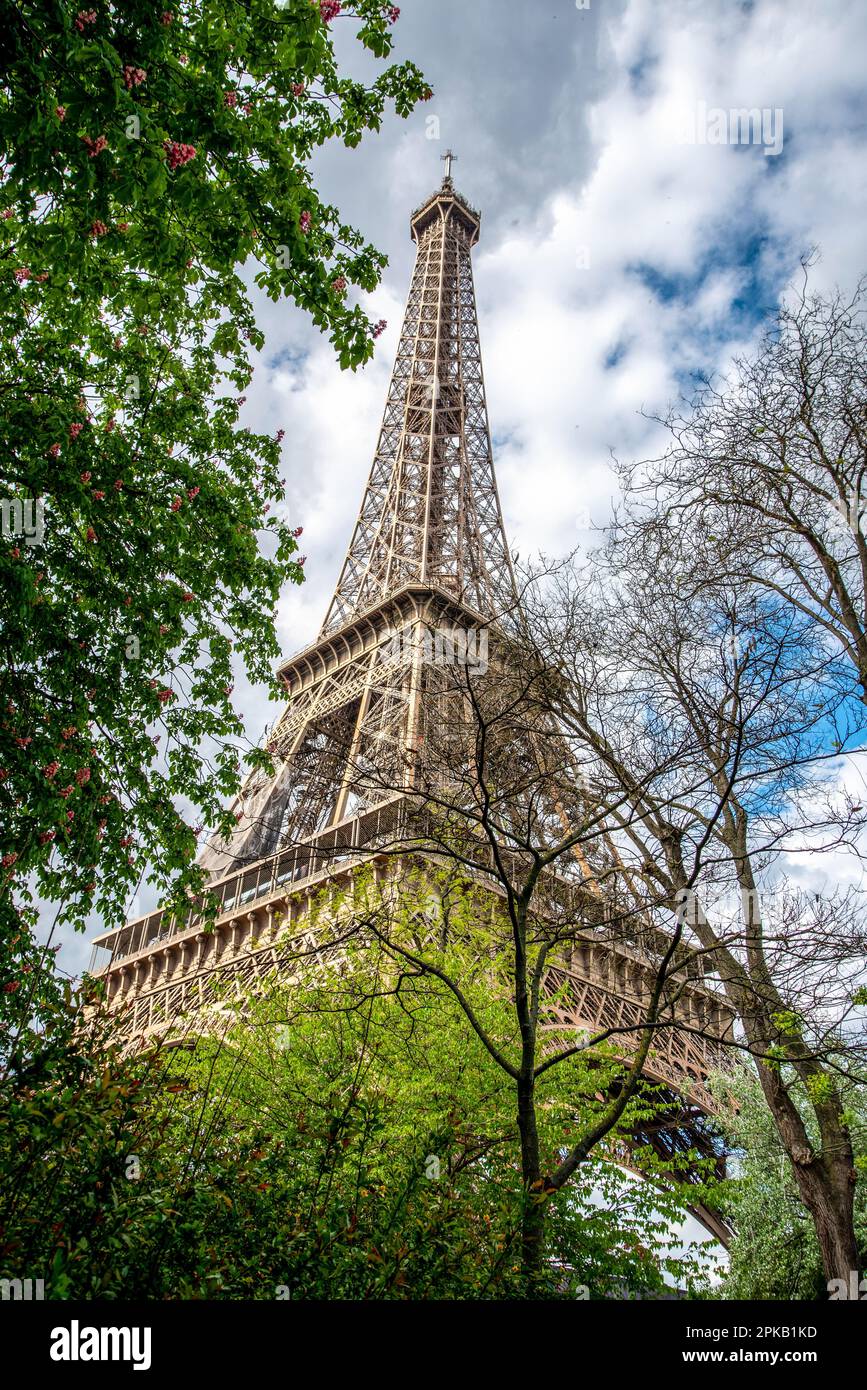 View of the Eiffel Tower in Summer, Paris, France Stock Photo - Alamy