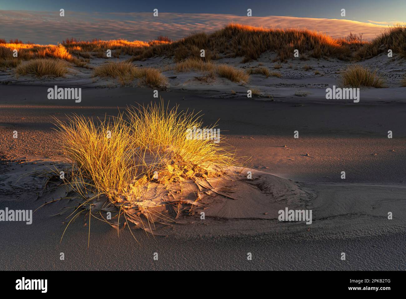 Coastal impression, Anholt Island, Orkenen, Kattegat, Baltic Sea ...