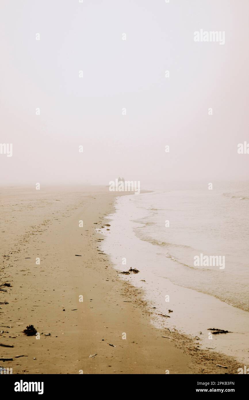 Fanö, island, landscape, summer, Wadden Sea, Denmark Stock Photo - Alamy