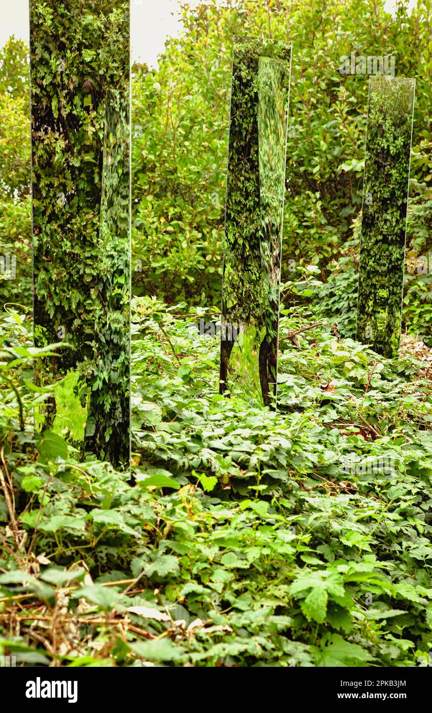 Mirror, Plants, Art, Fanö, Island, Summer, Denmark Stock Photo - Alamy