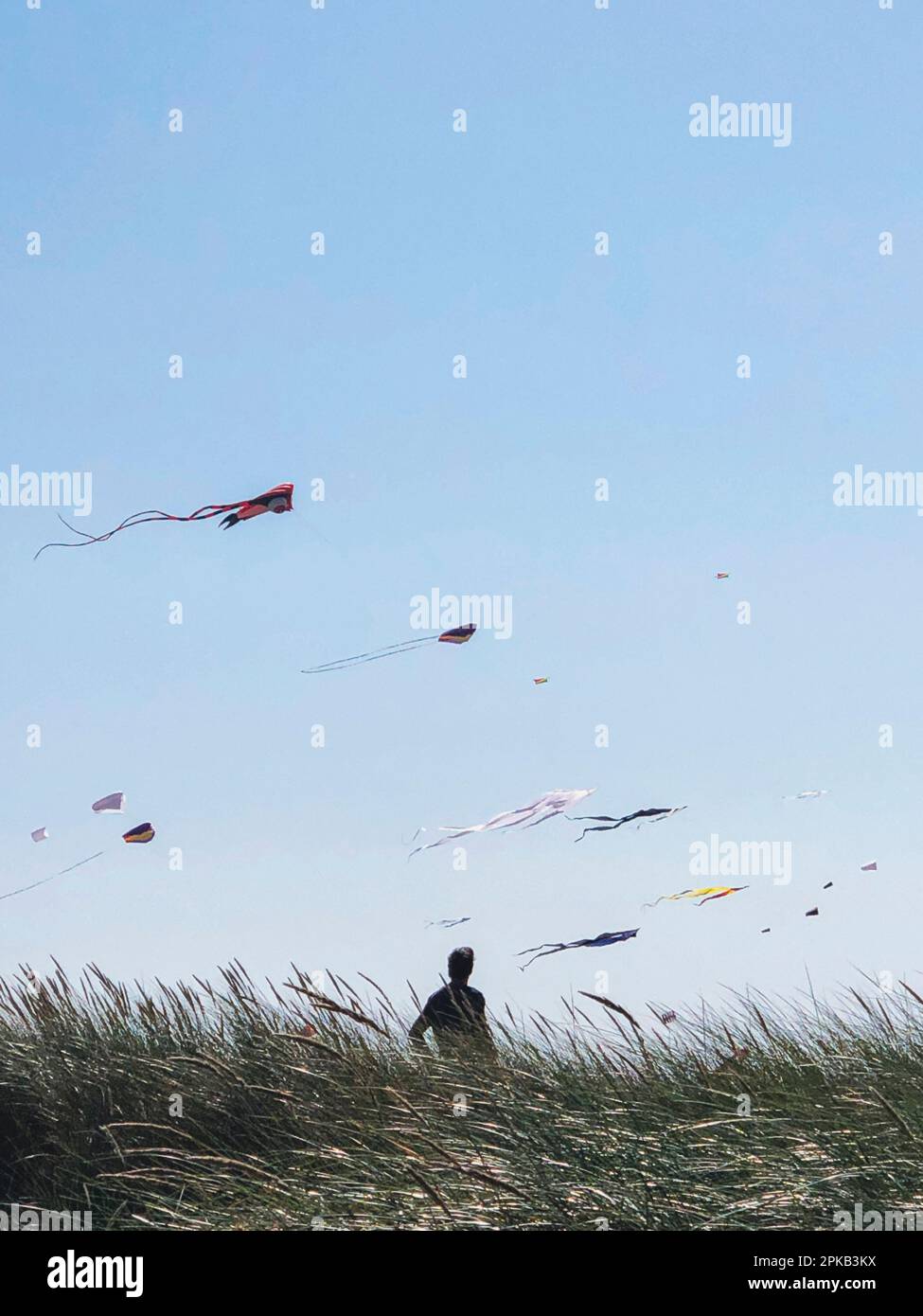 Blue sky kites flying grass hi-res stock photography and images - Alamy