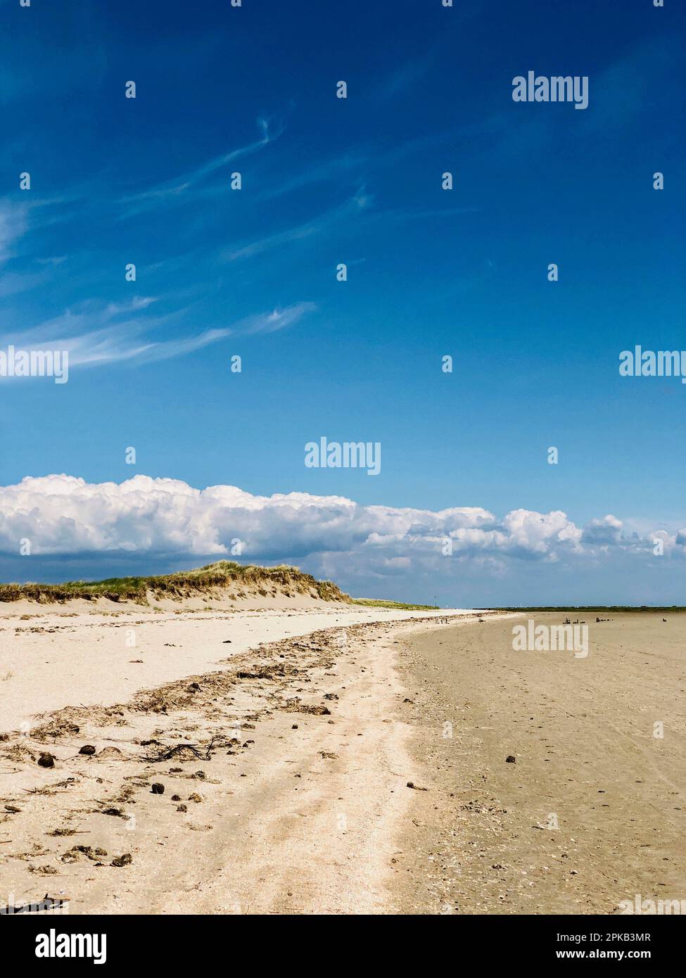 Dunes, beach, Fanö, island, landscape, summer, tidal flats, Sönderho ...