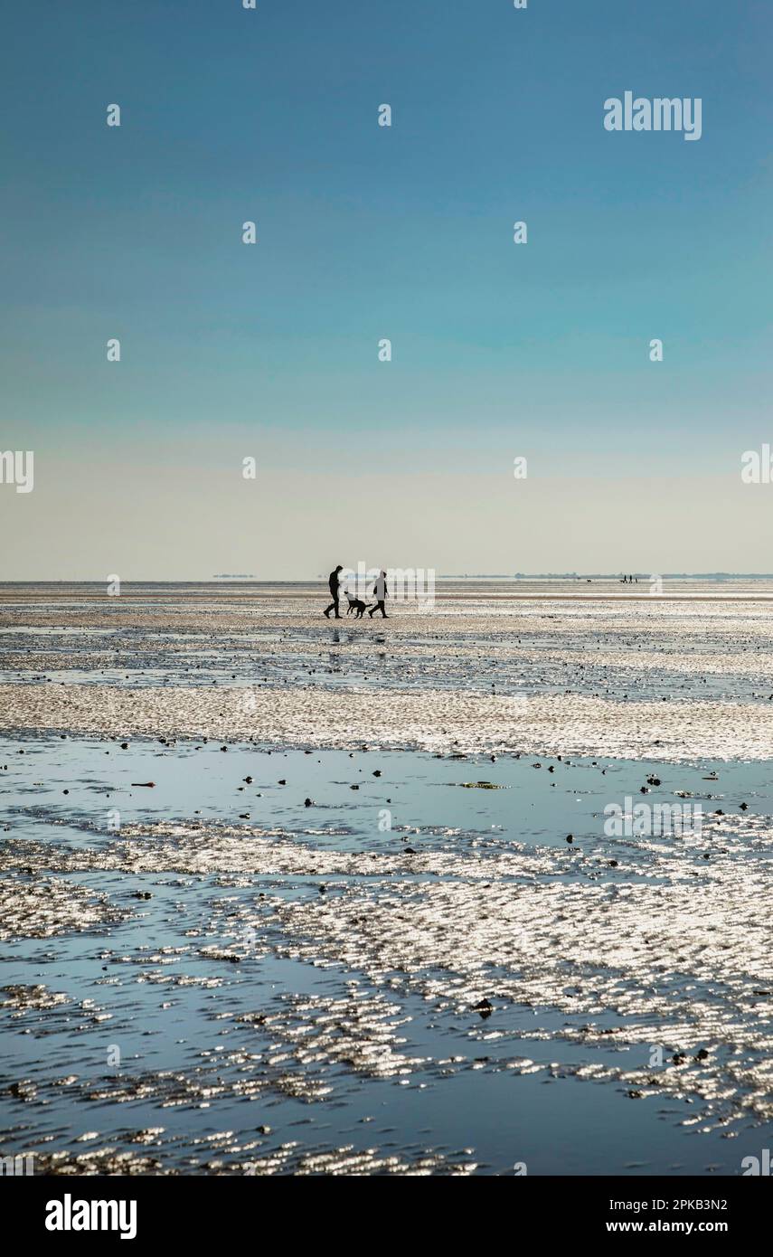 Fanö, island, landscape, summer, Wadden Sea, Denmark Stock Photo - Alamy