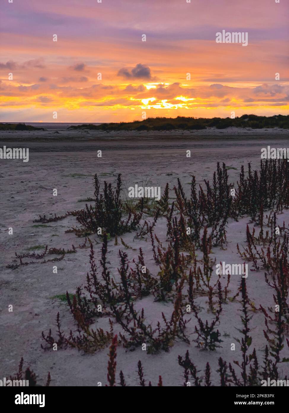 North sea, water, sky, sunset, Fanö, island, Denmark Stock Photo - Alamy