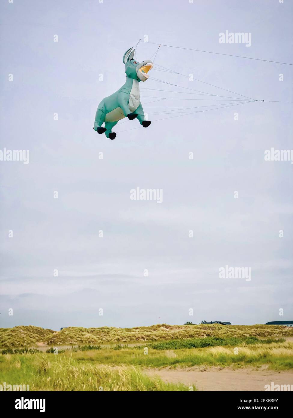 Kite flying, donkey, Rindby, Fanö, island, Denmark Stock Photo - Alamy