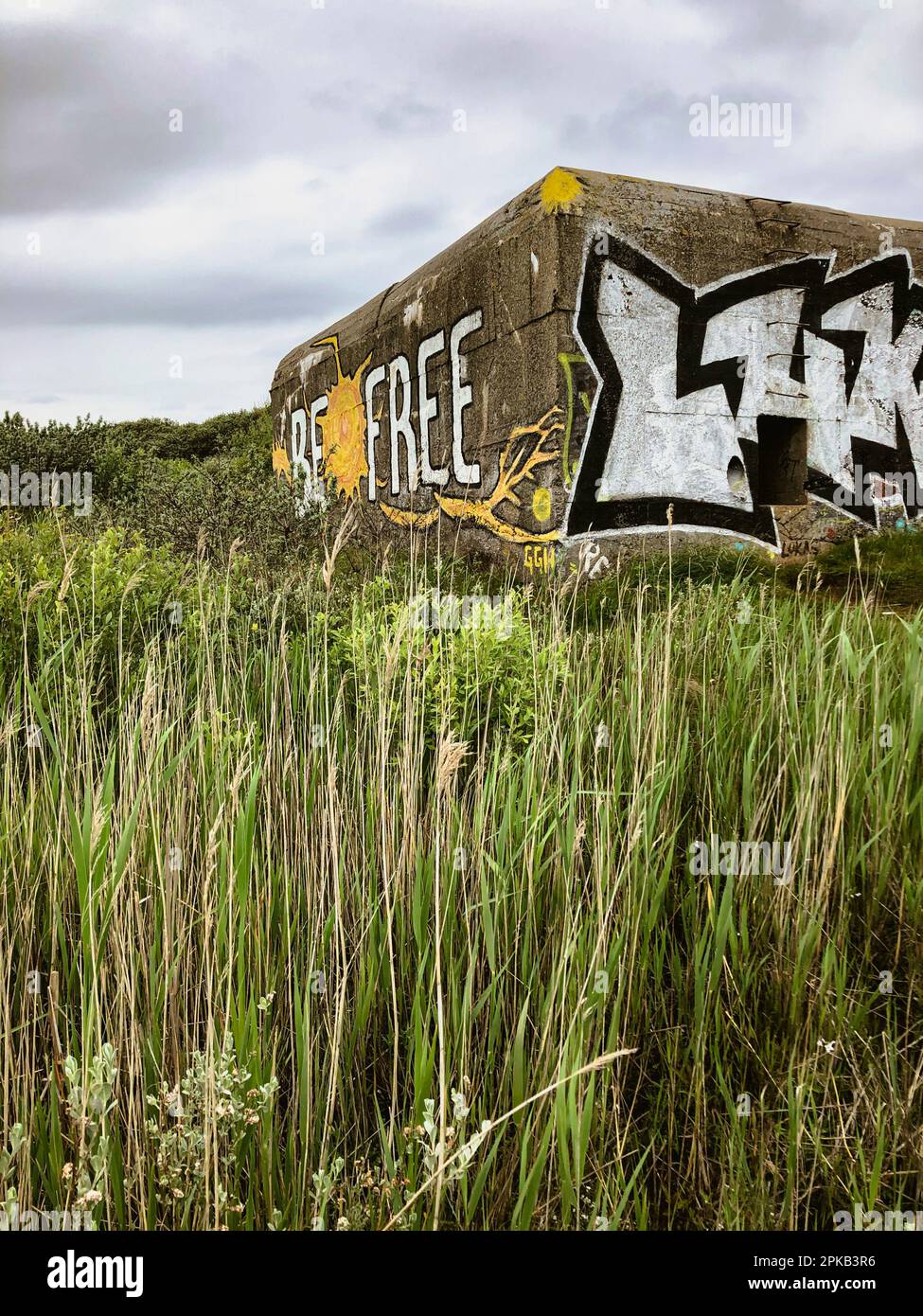 Dunes, bunker, graffiti, Fanö, island, landscape, summer, Sönderho ...