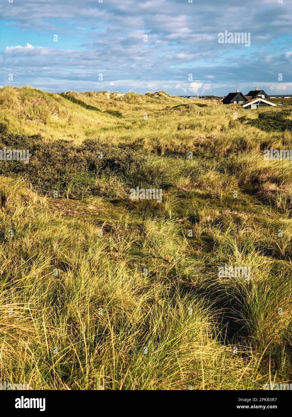 Dunes landscape, house, hill, Fanö, island, landscape, summer, Denmark ...