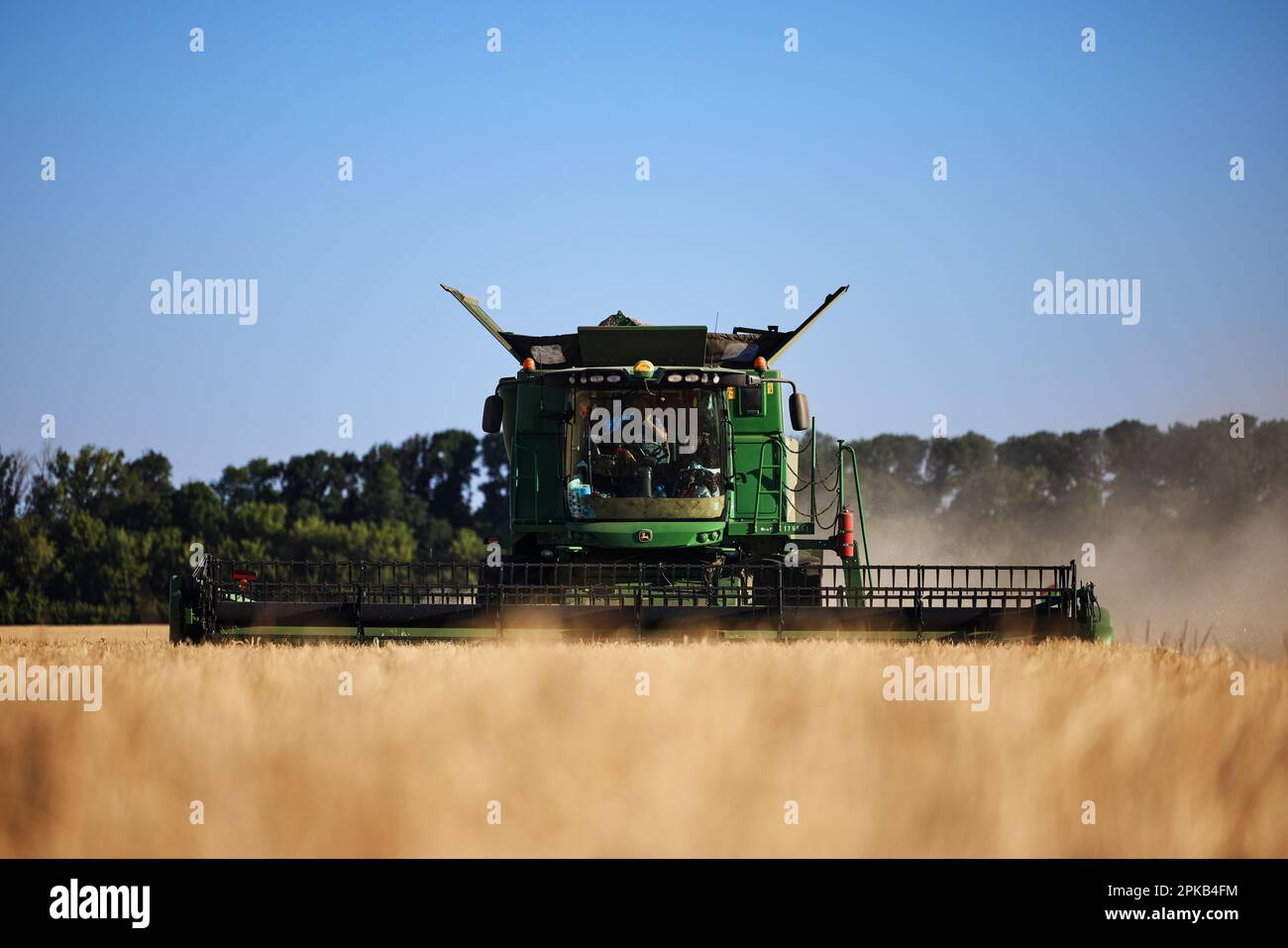 John Deere harvester works in the field. Combine Harvesting Wheat ...