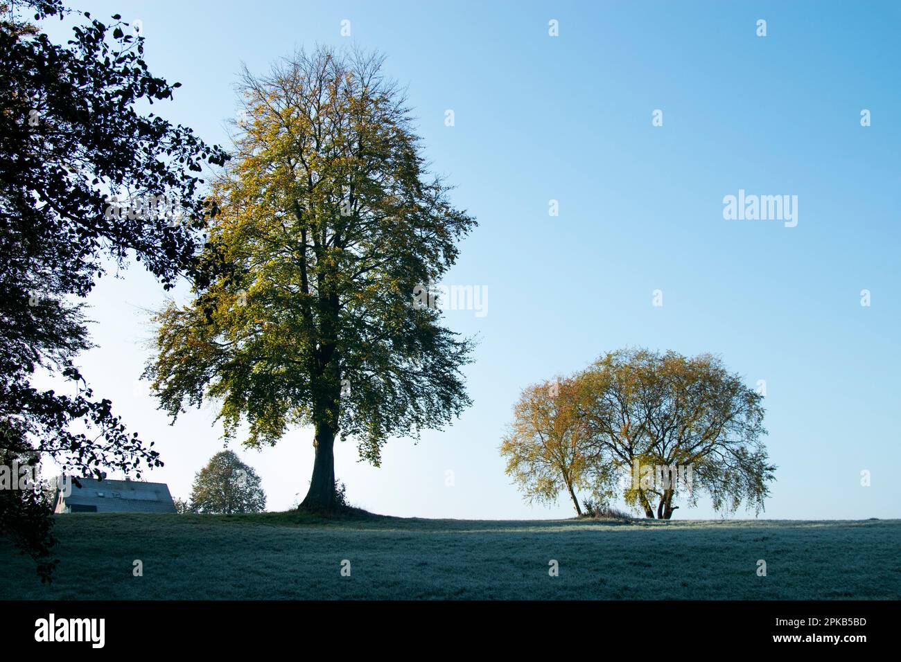 Theesen hi-res stock photography and images - Alamy