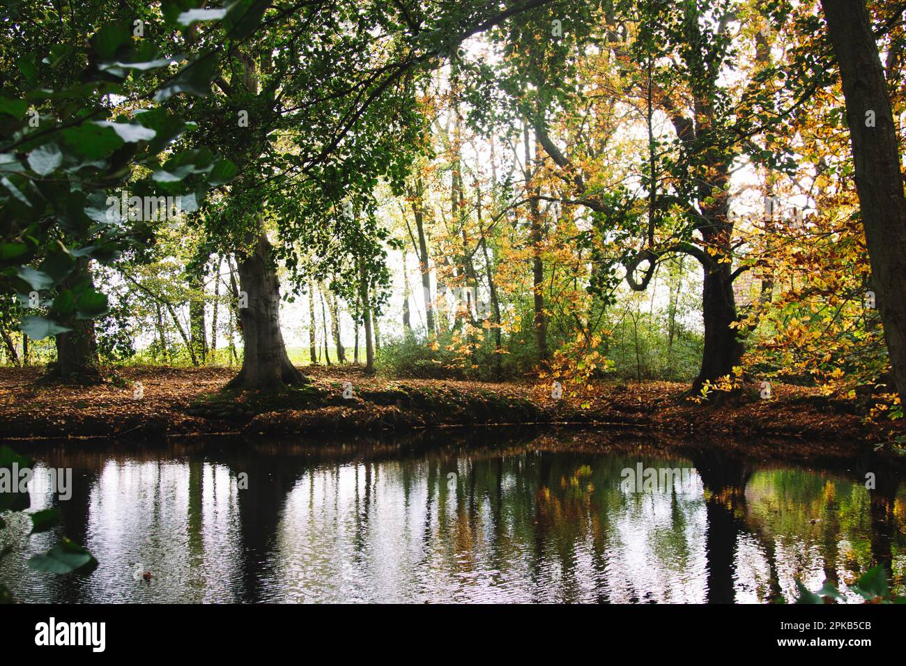 Bath coloring hi-res stock photography and images - Alamy