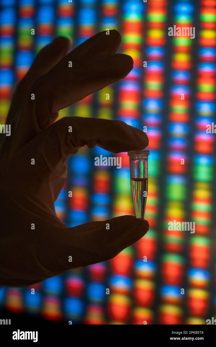 Hand holding a tube of DNA samples in front of a picture of a genome ...