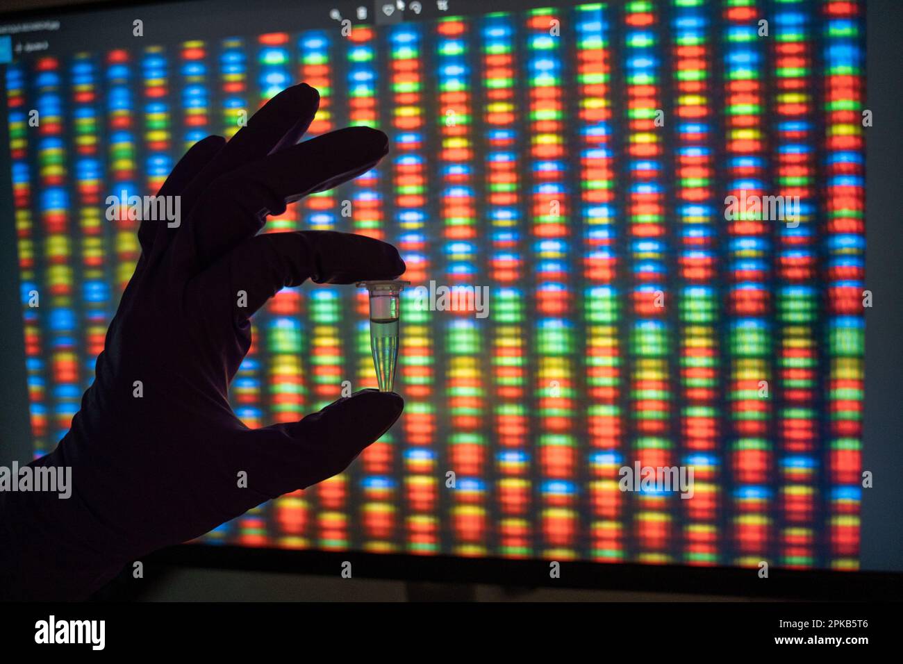 Hand holding a tube of DNA samples in front of a picture of a genome ...