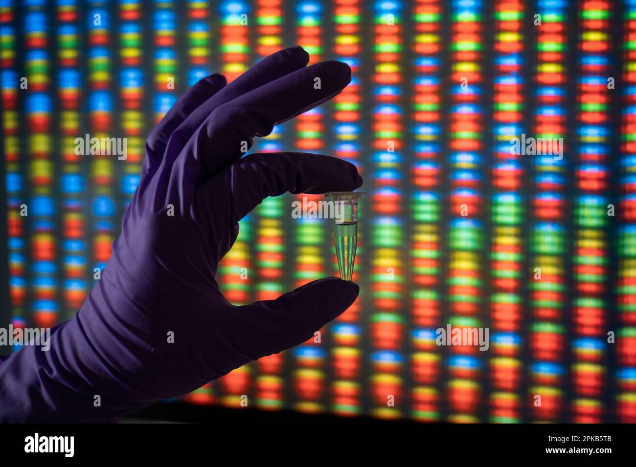 Hand holding a tube of DNA samples in front of a picture of a genome ...