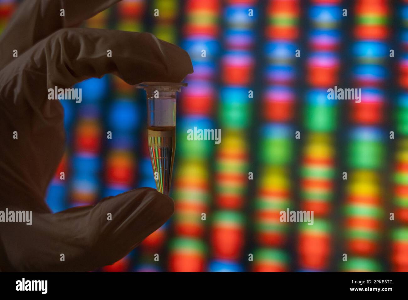 Hand holding a tube of DNA samples in front of a picture of a genome ...