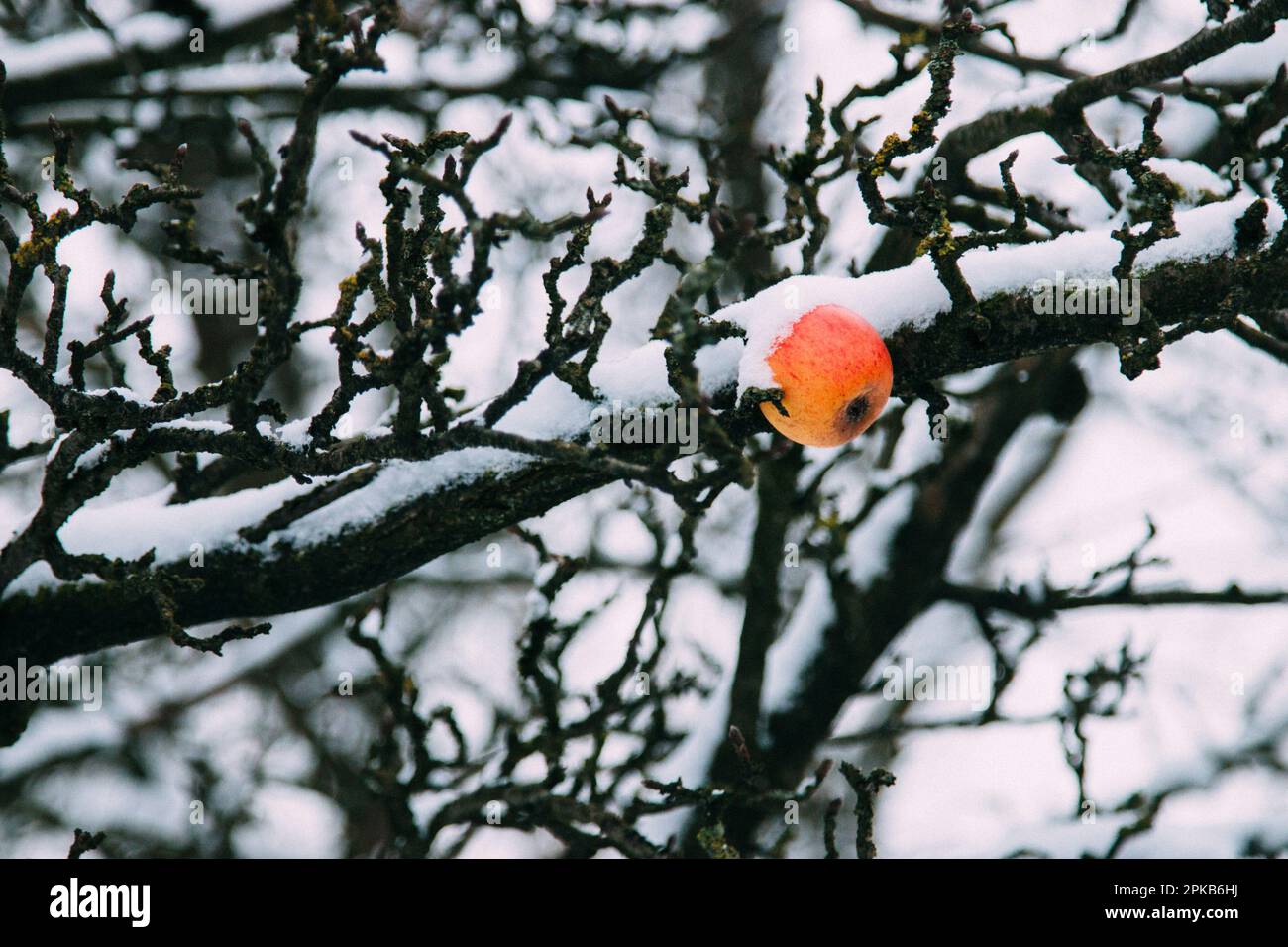 Snow winter dining outdoor hi-res stock photography and images - Alamy