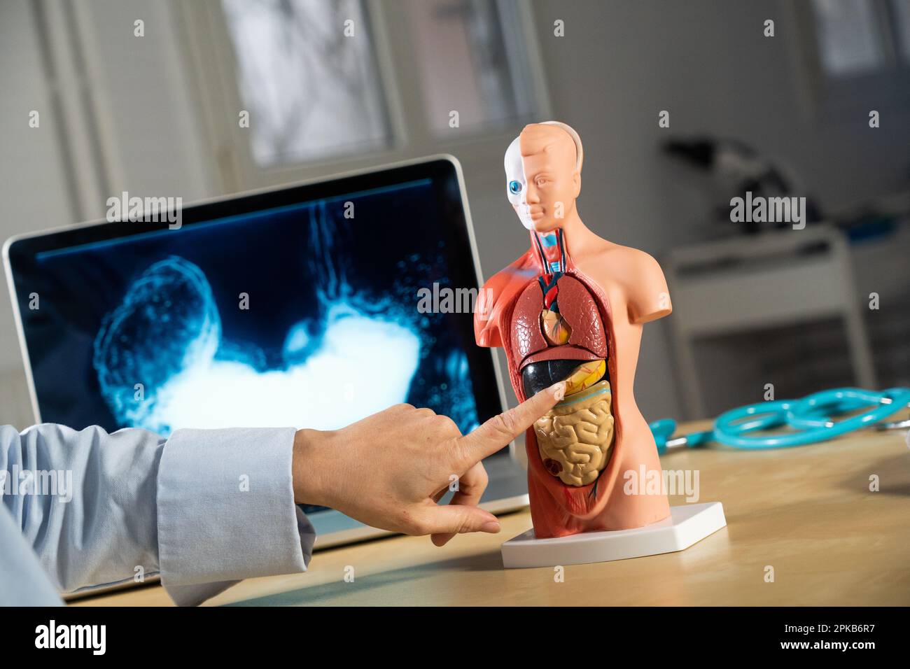 Anatomical human heart and stomach hi-res stock photography and images ...