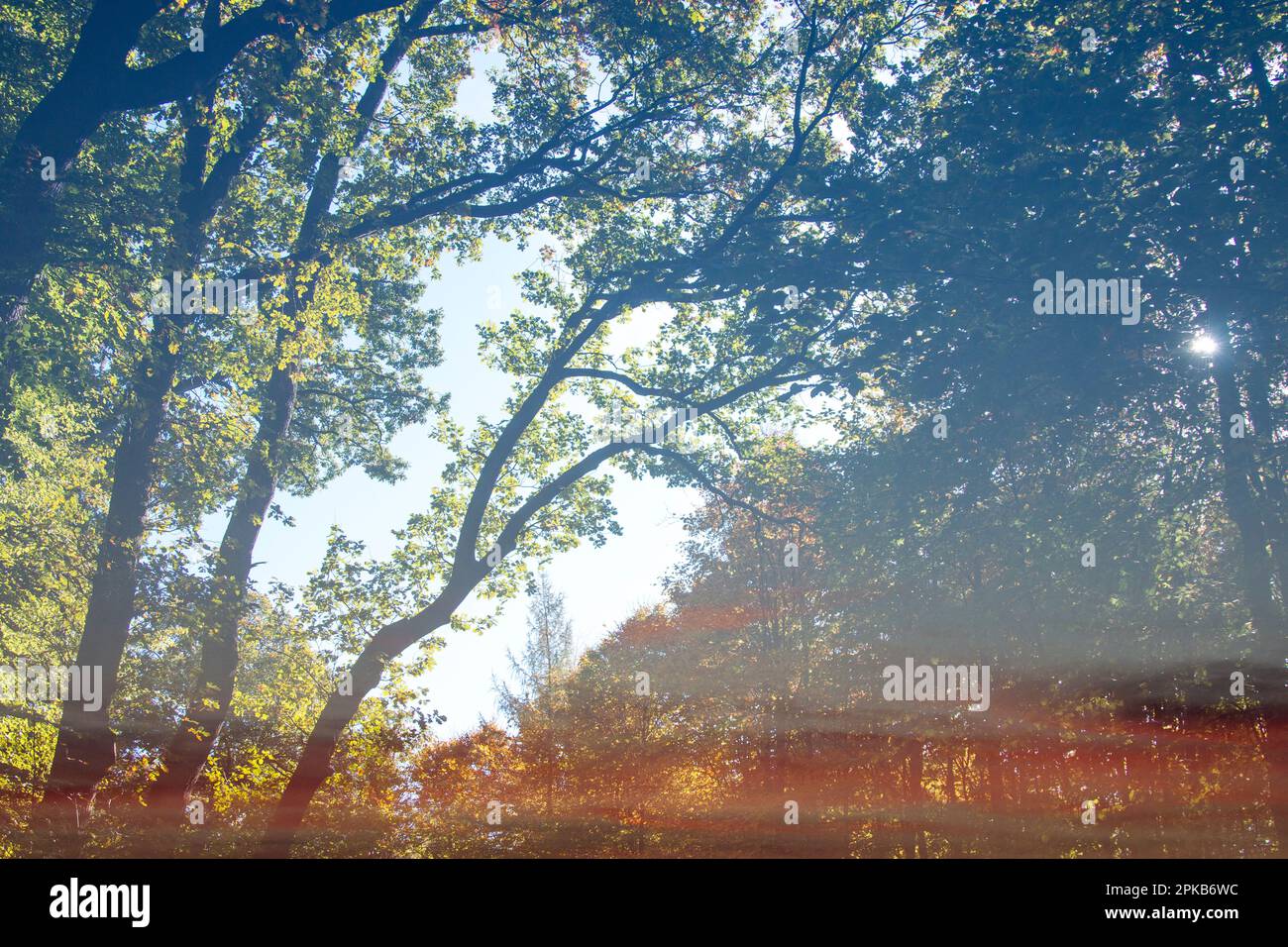 Augustdorf hi-res stock photography and images - Alamy