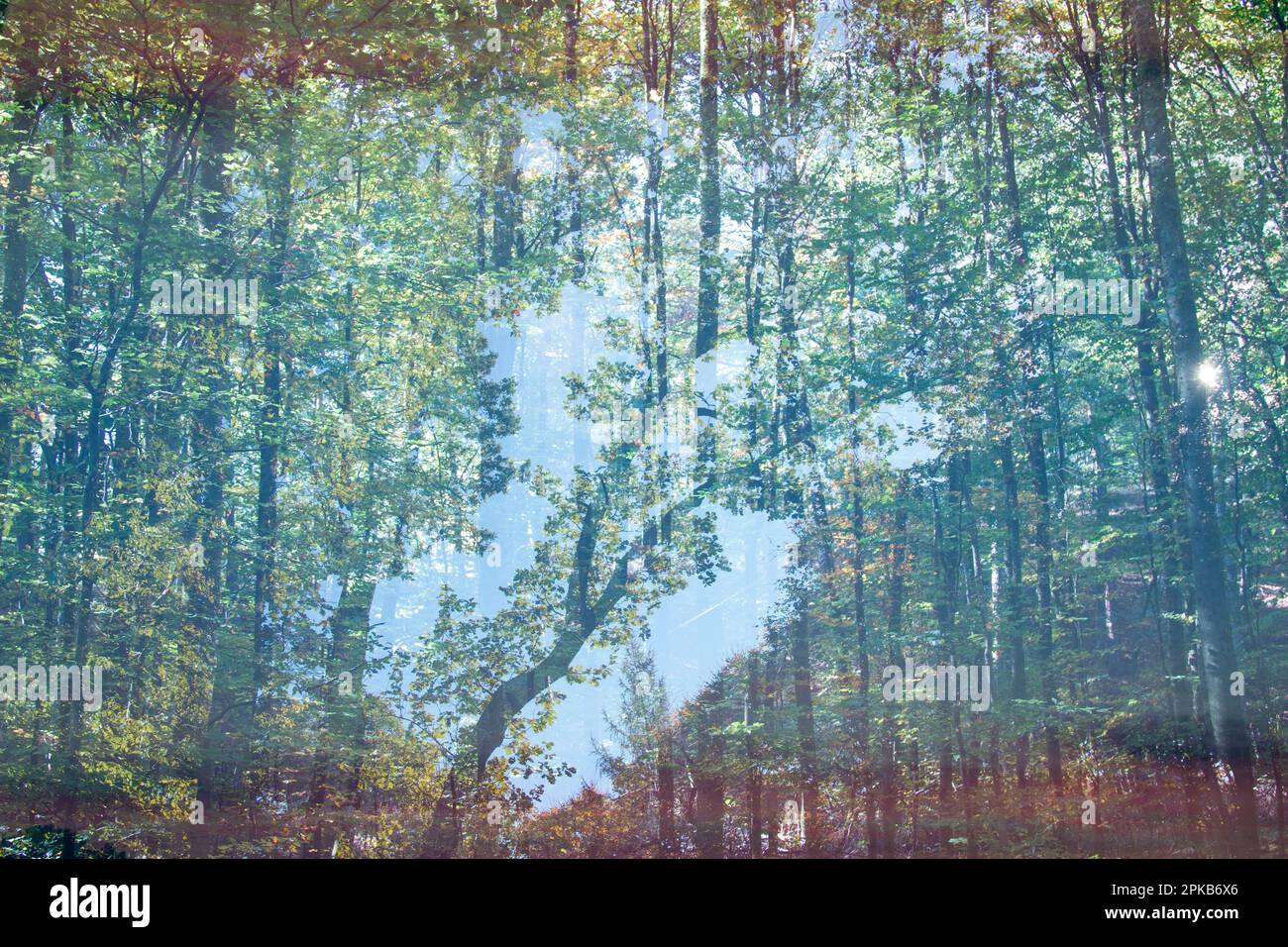 Augustdorf hi-res stock photography and images - Alamy