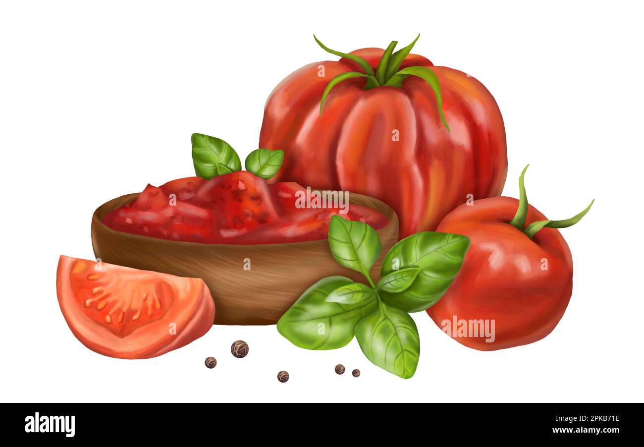 Composition of a cup of tomato sauce, fresh red tomatoes, ripe basil ...