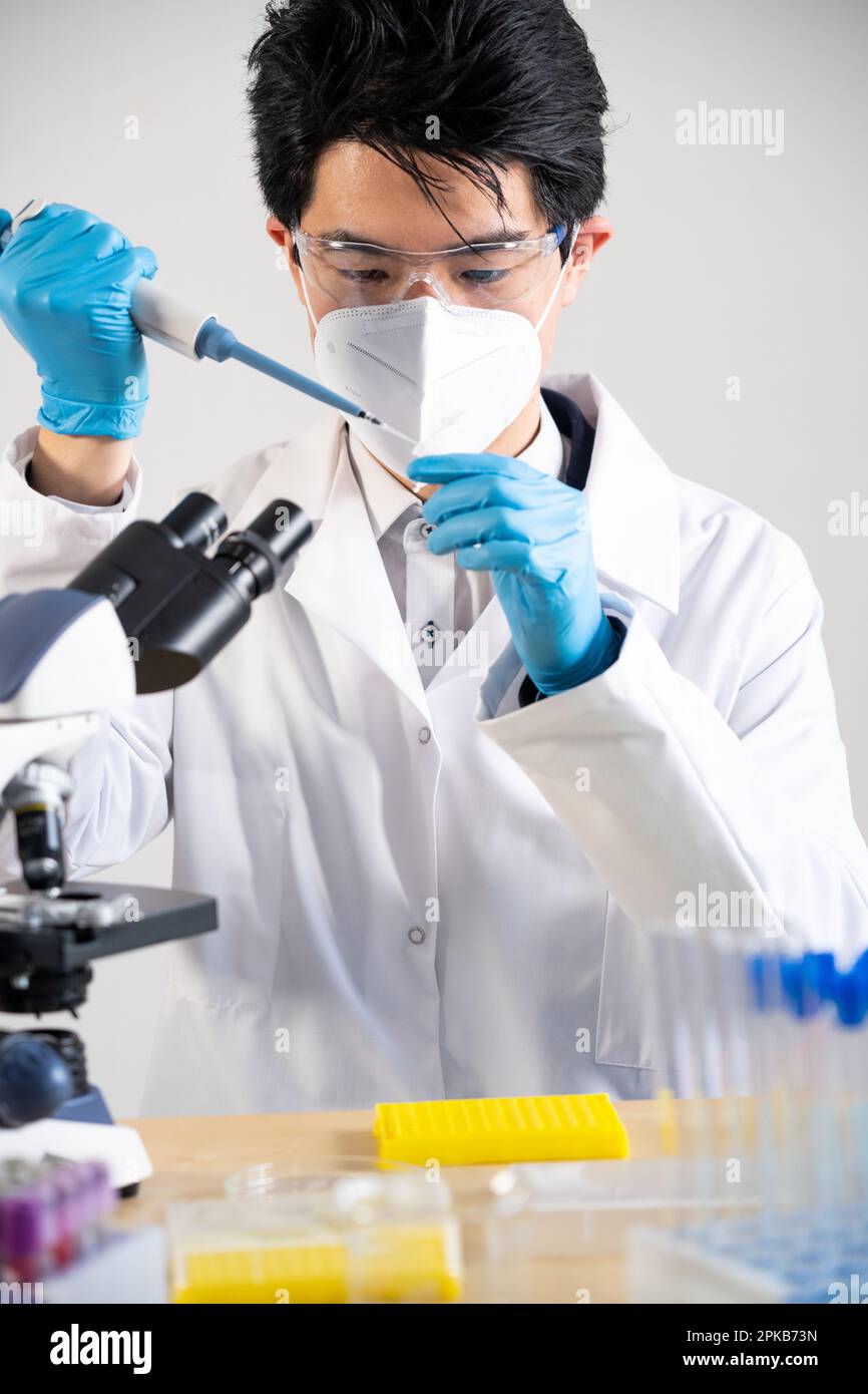 Laboratory assistant conducting experiments for laboratory research ...