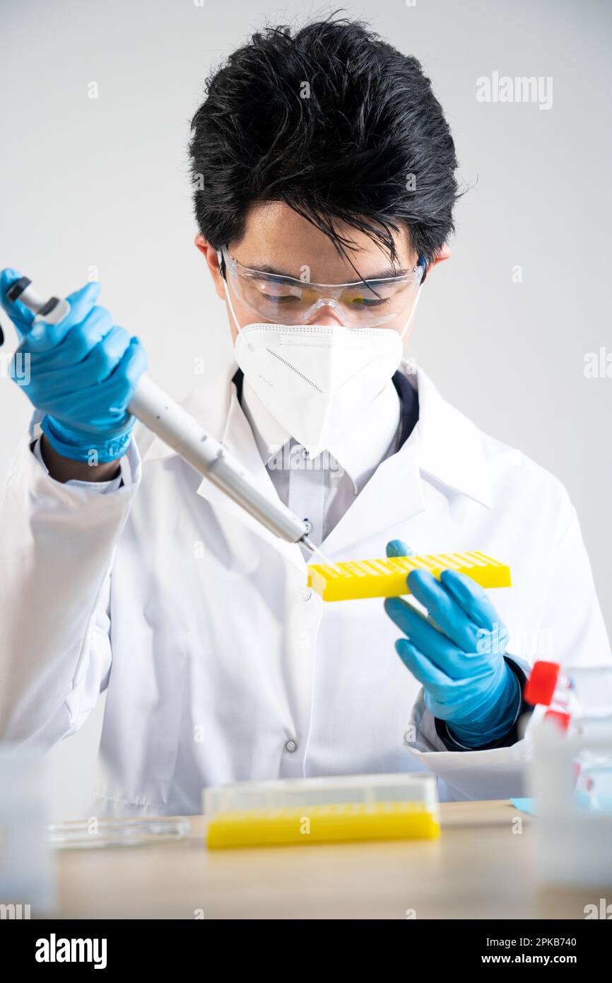 Laboratory assistant conducting experiments for laboratory research ...
