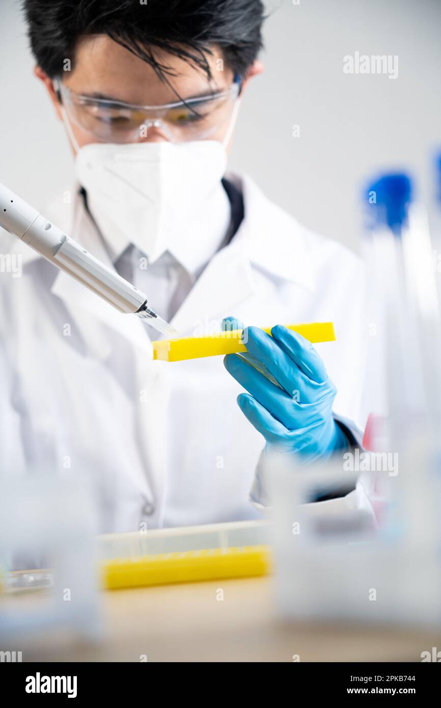 Laboratory assistant conducting experiments for laboratory research ...