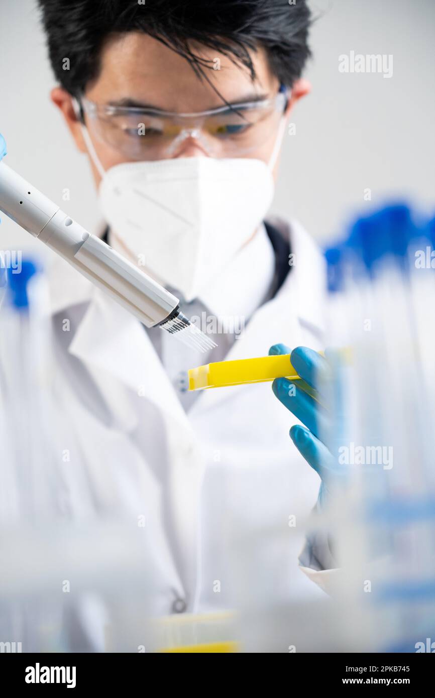 Laboratory assistant conducting experiments for laboratory research ...