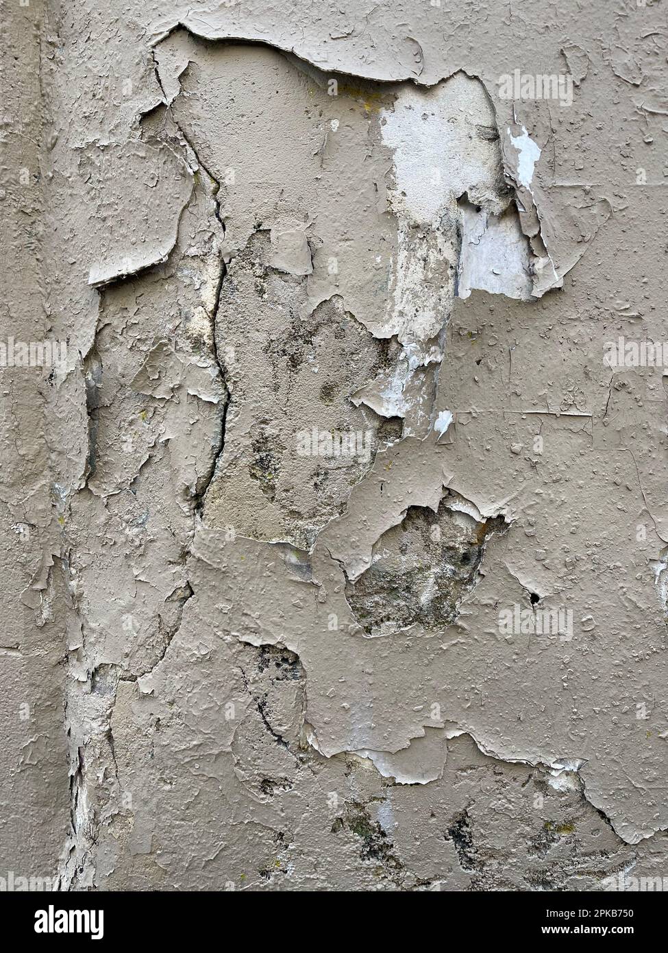 Pathology building hi-res stock photography and images - Alamy