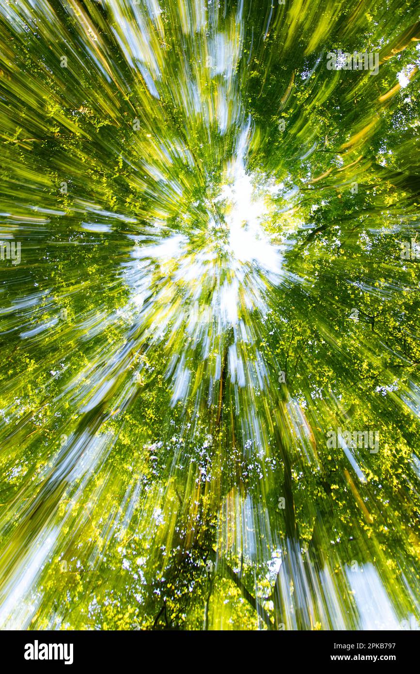 Zooming view hi-res stock photography and images - Alamy