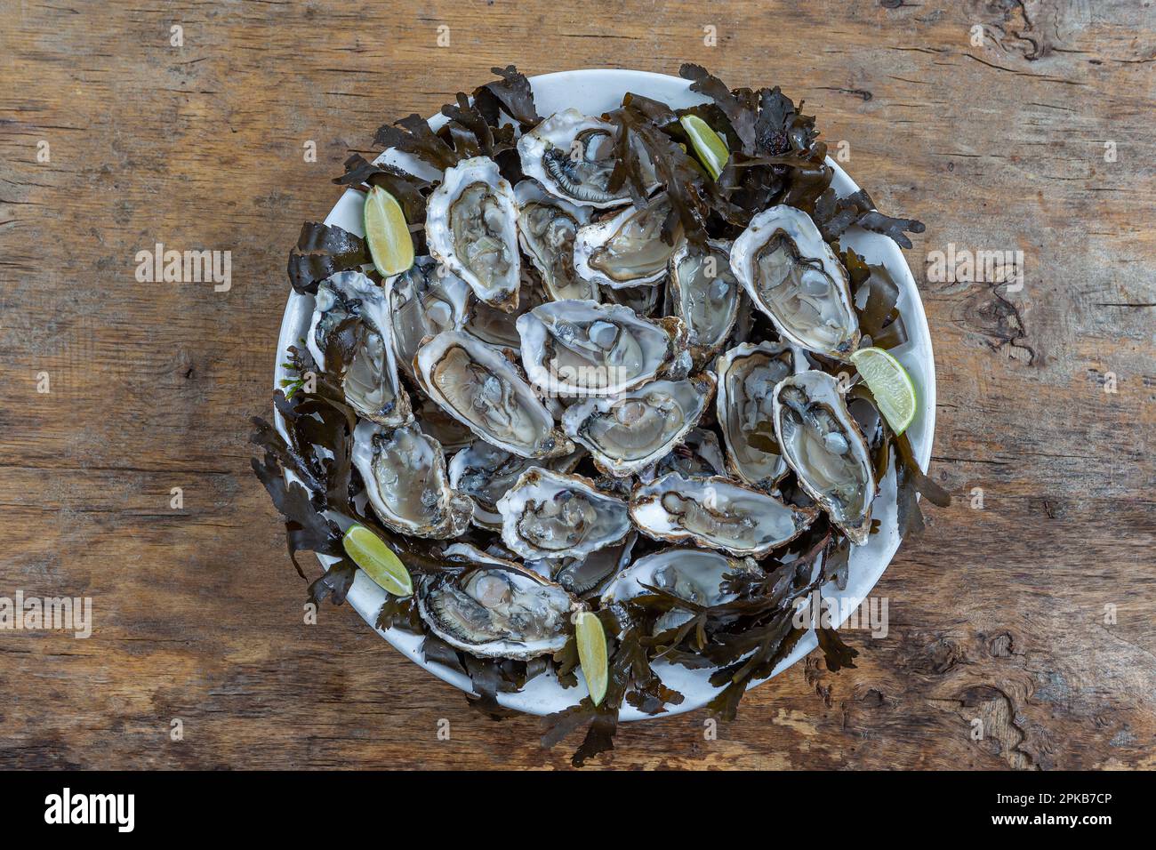 Oysters from Marennes Oléron on an old board Stock Photo - Alamy