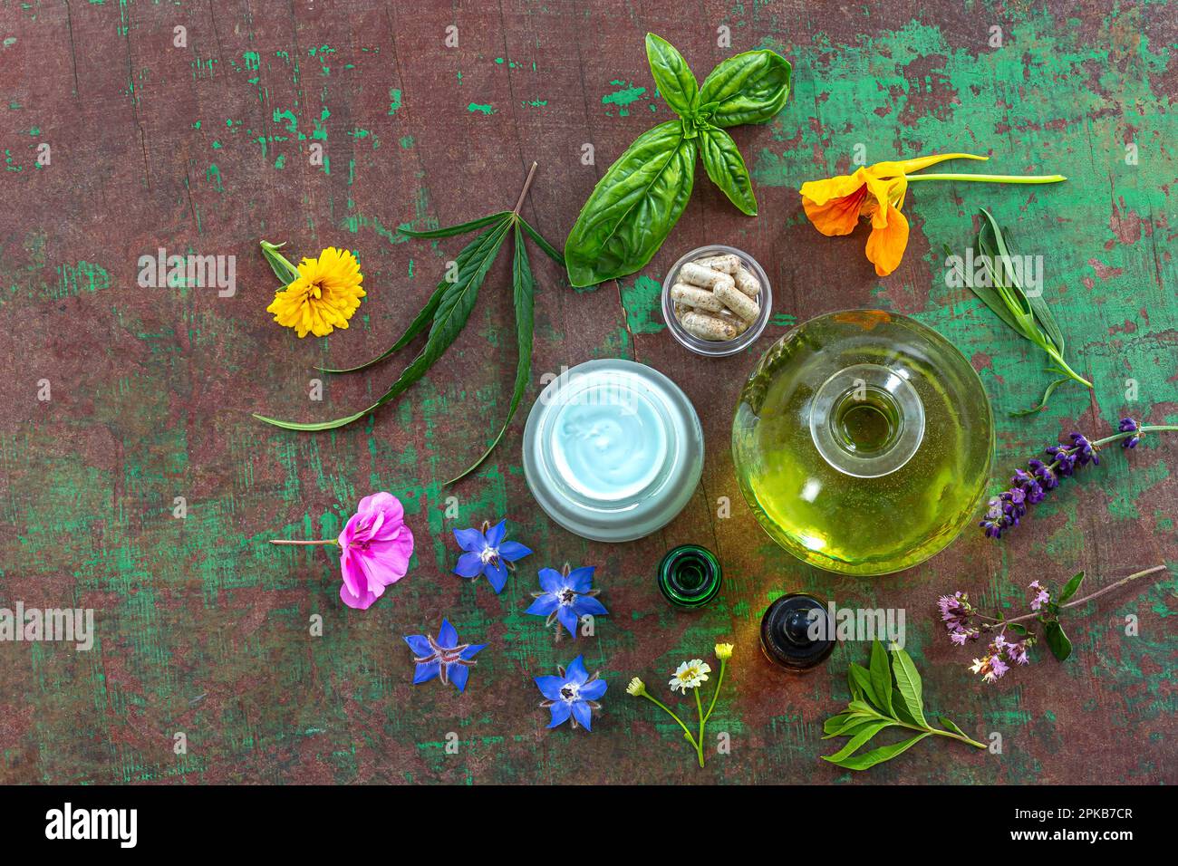 Medicinal plants around cosmetics, food supplements, essential oils ...