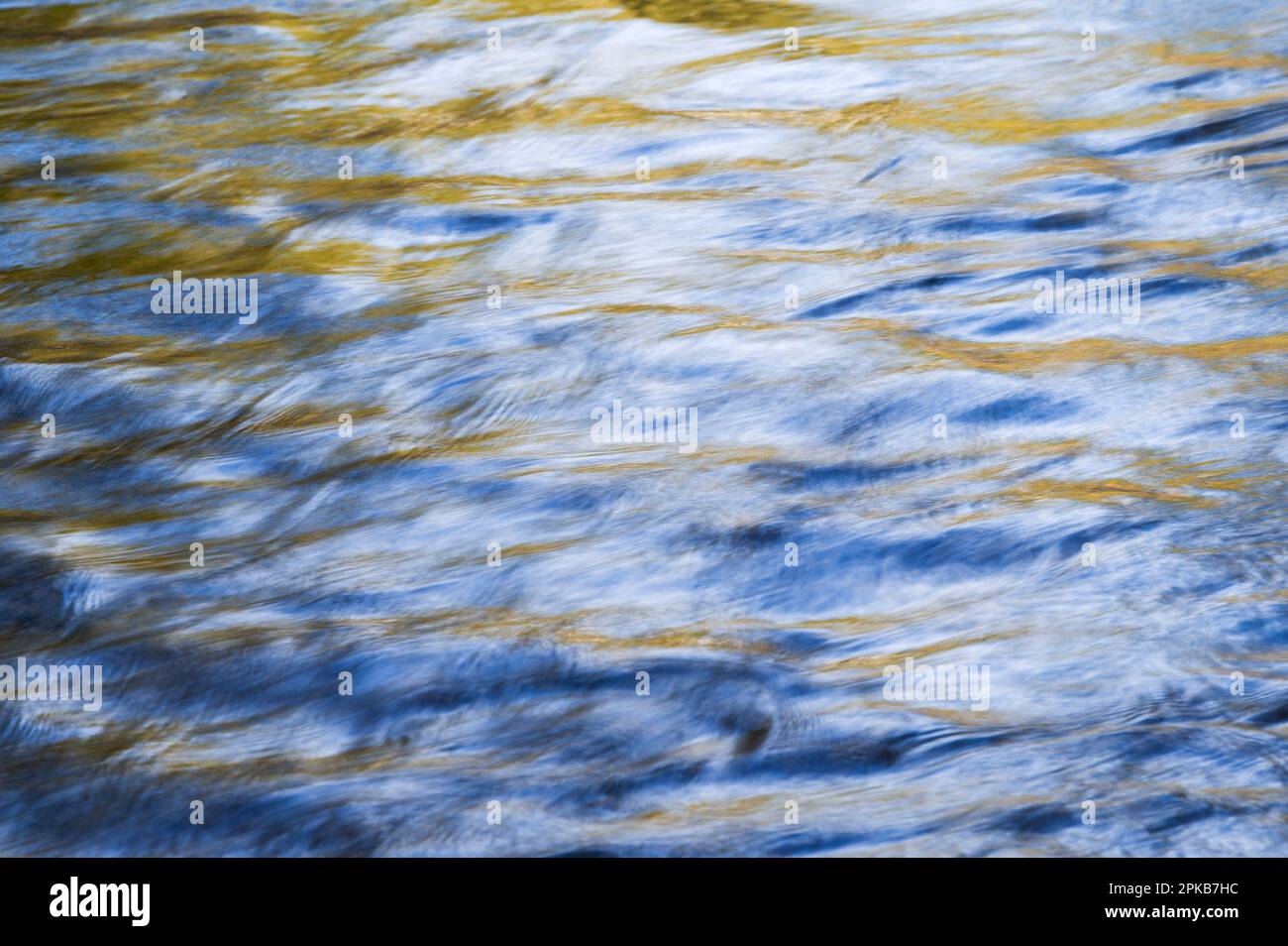 flowing water and small waves of the Vologne, yellow autumn leaves and ...