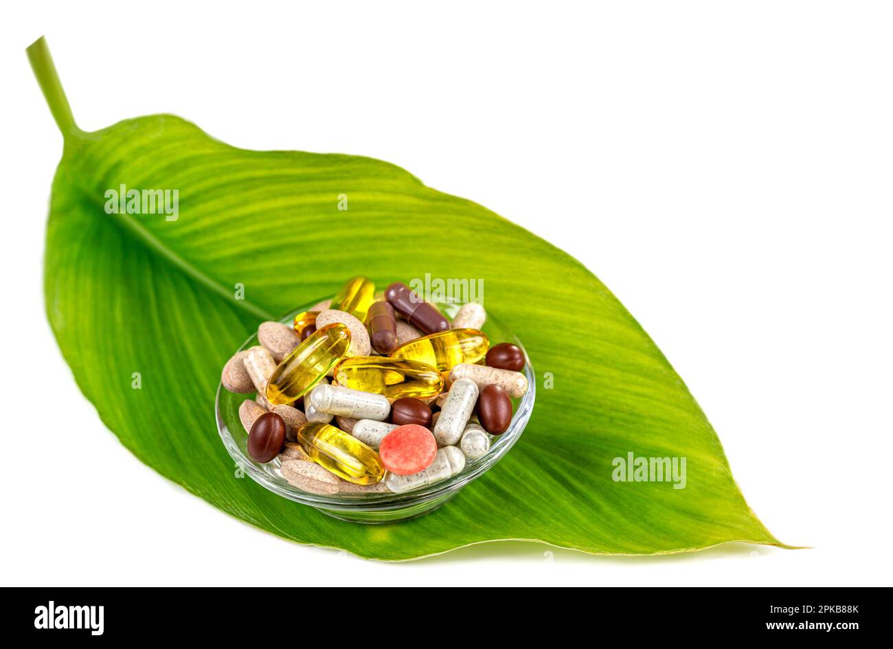 Assortment of leaf hi-res stock photography and images - Alamy