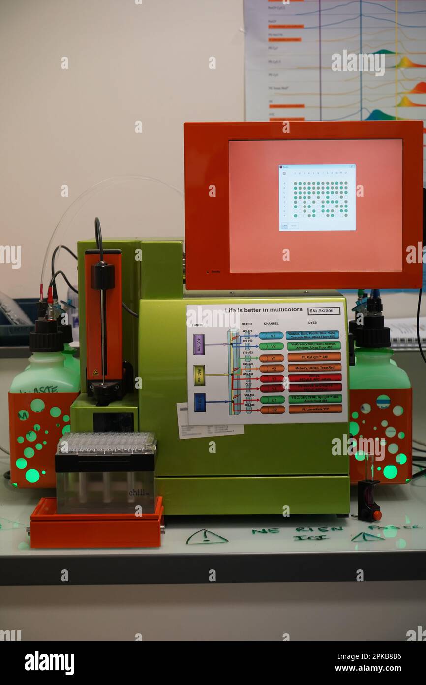 Research on chronic bacterial infections within Inserm. PhD student ...