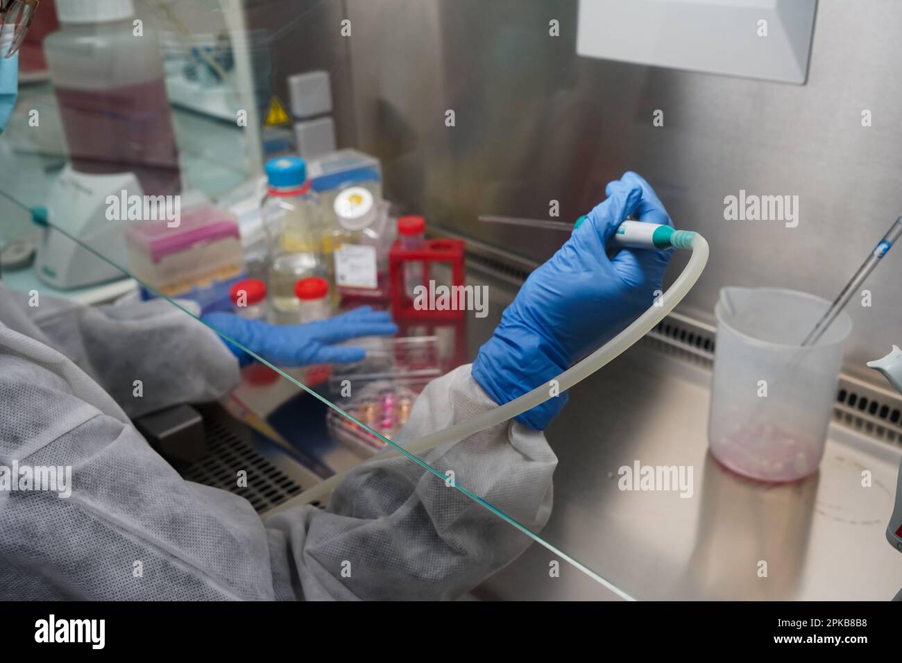 Research on chronic bacterial infections within Inserm. PhD student ...