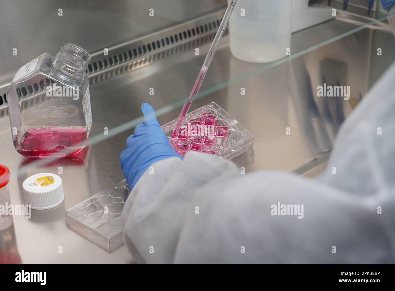 Brucella bacteria hi-res stock photography and images - Alamy