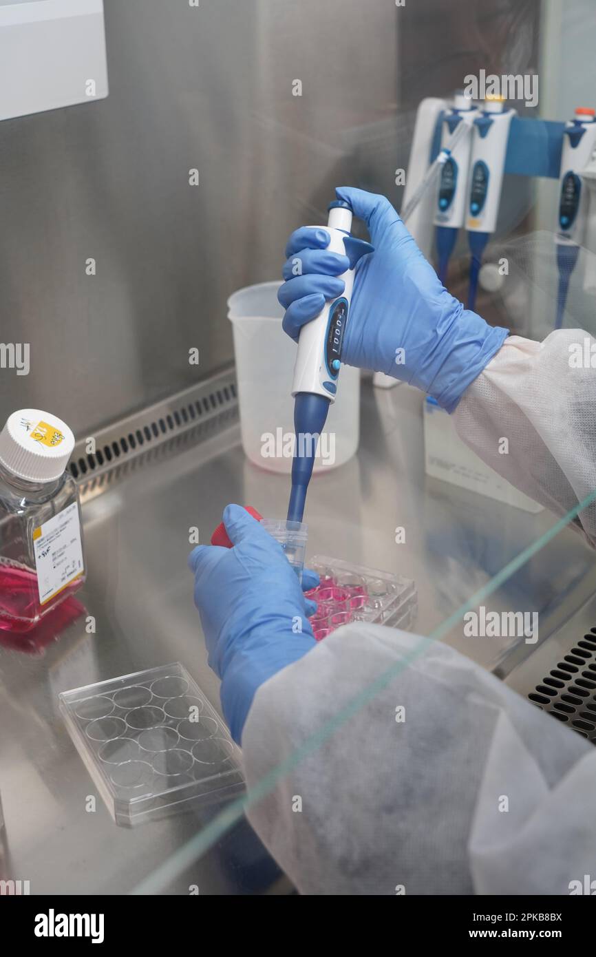 Research on chronic bacterial infections within Inserm. PhD student ...