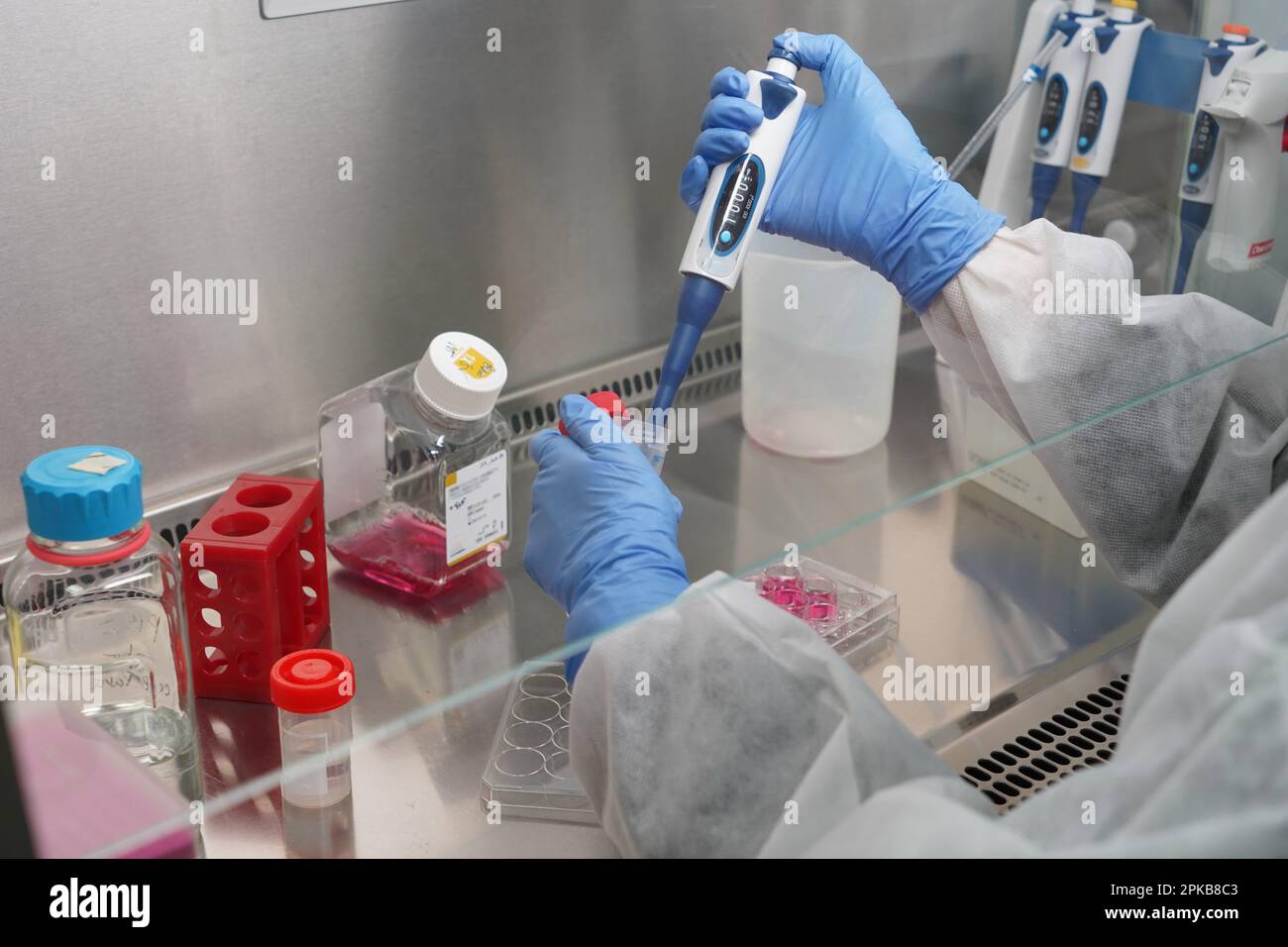 Research on chronic bacterial infections within Inserm. PhD student ...