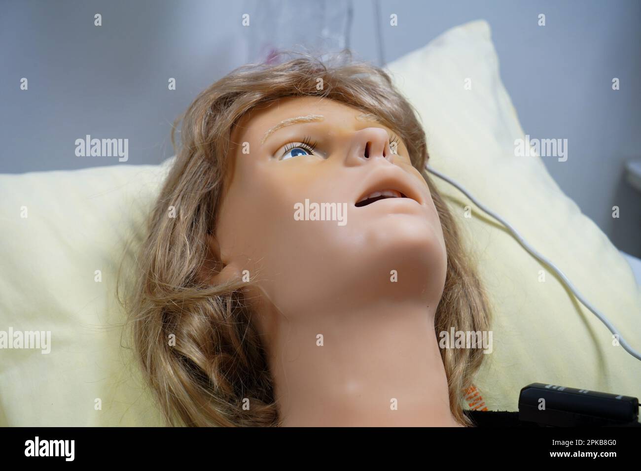 Students facing a post natal emergency follow procedures on a mannequin ...