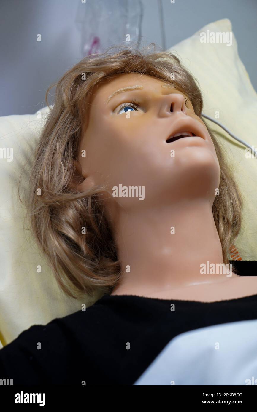 Pregnant mannequin hi-res stock photography and images - Alamy