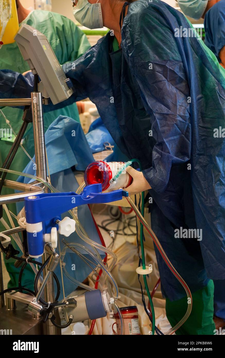 Training of medical interns in the ECMO technique, Extracorporeal Membrane Oxygenation Stock ...