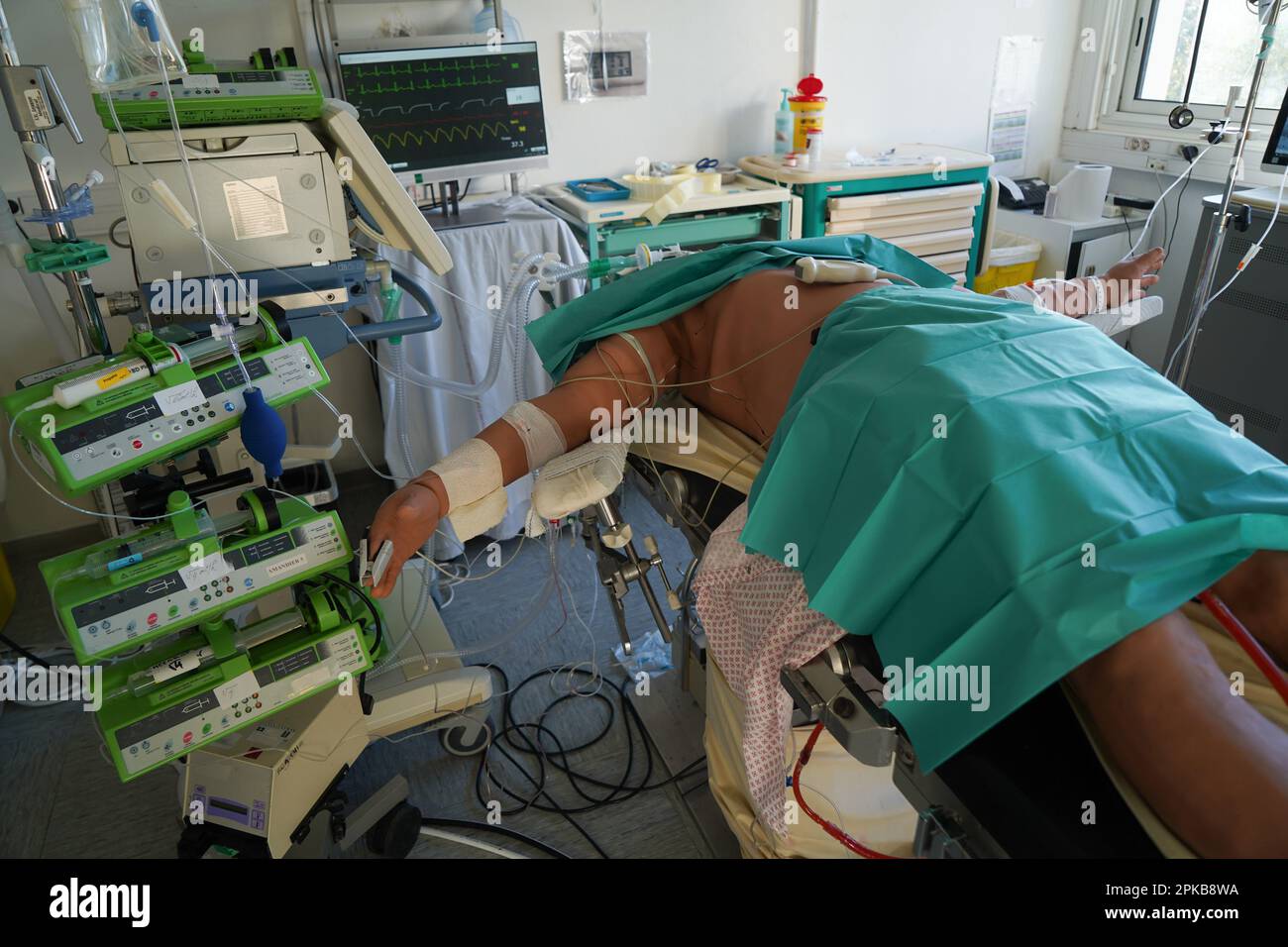 Training of medical interns in the ECMO technique, Extracorporeal ...